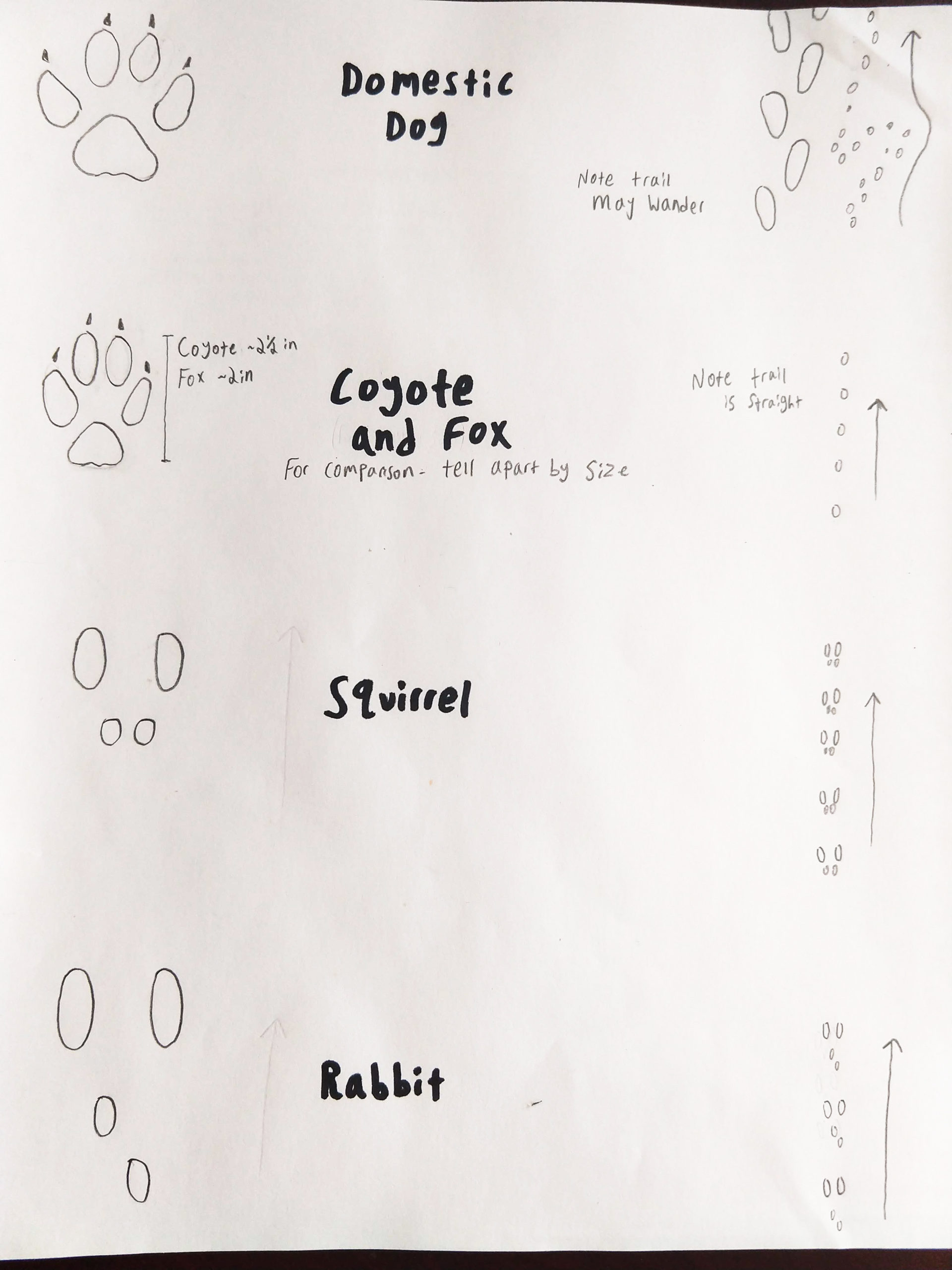 Backyard Tracking for Beginners - Farm & Wilderness