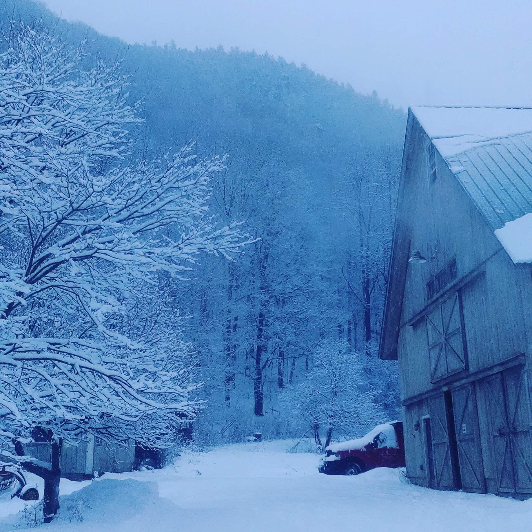 What We Farm in the Winter - Farm & Wilderness