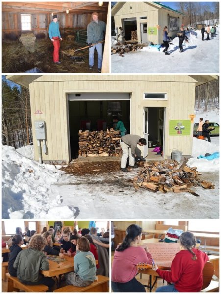 Inside Ice Cutting - Farm & Wilderness