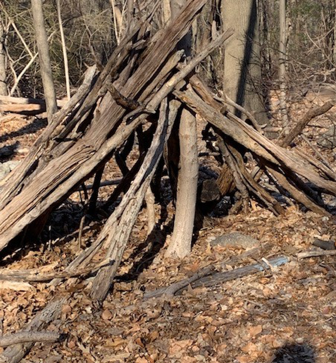 Natural Shelters: A Place to Hang Out - Farm & Wilderness