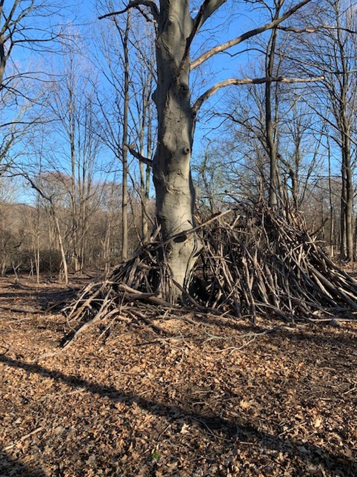 Natural Shelters: A Place to Hang Out - Farm & Wilderness