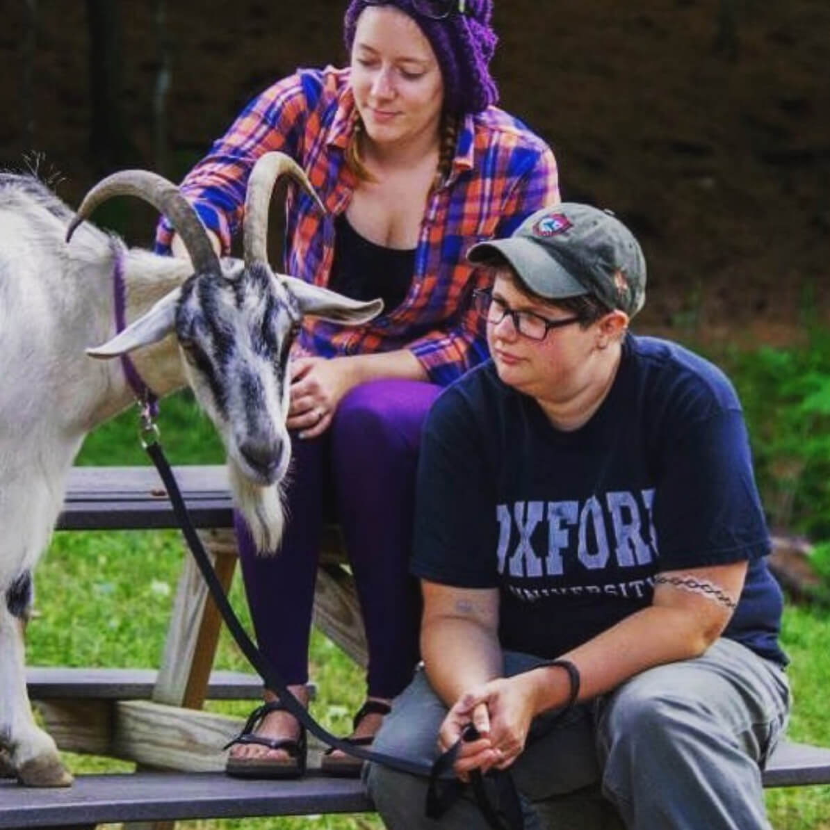 Remembering Nelly - Farm & Wilderness