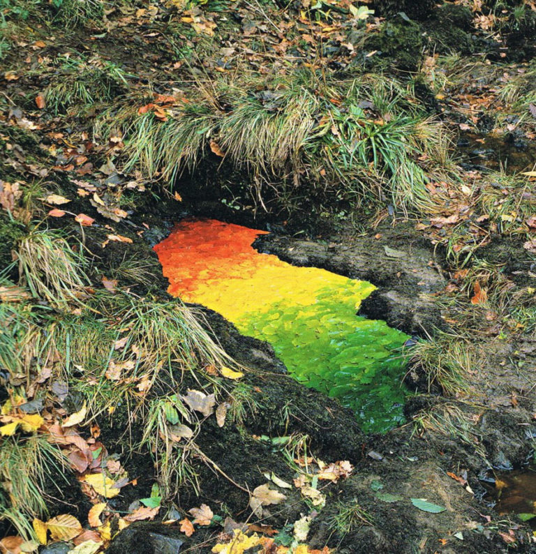 Making Art in Nature: Andy Goldsworthy Style - Farm & Wilderness